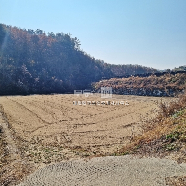 [부동산114] [토지] 부리면 매매 희망가격 9,700만원